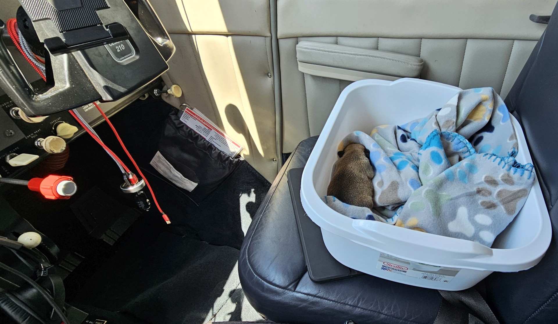 Rescue Flight: Urgent 2 Cleft Frenchies – KBDN to KLHM – V Speed Aviation